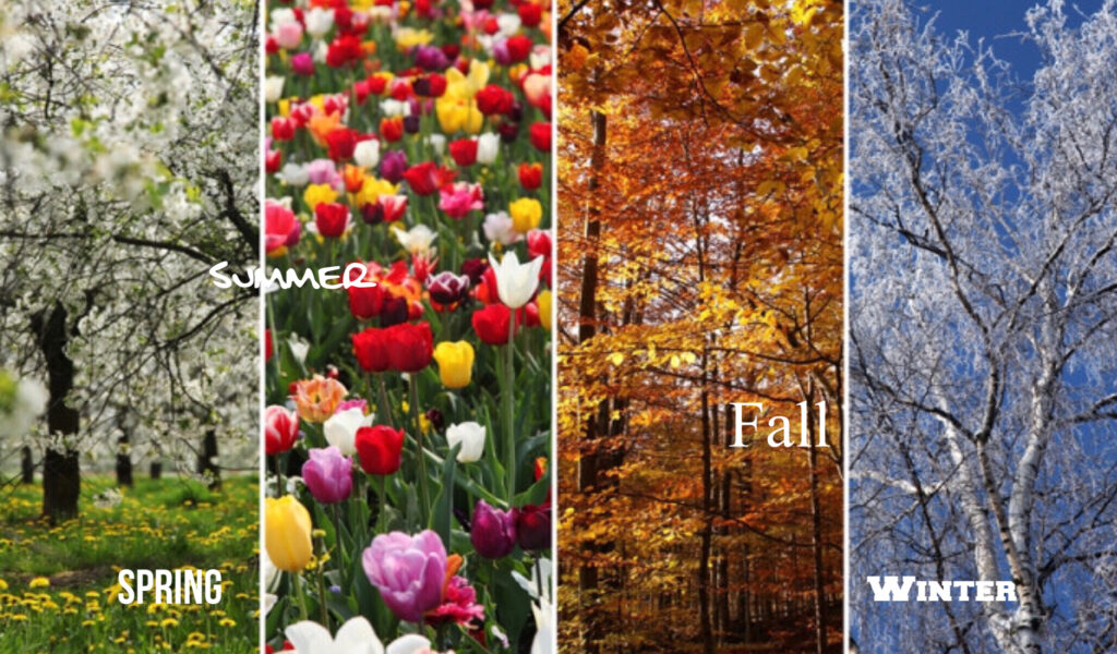 March into Spring - MollyBeesMemories.com